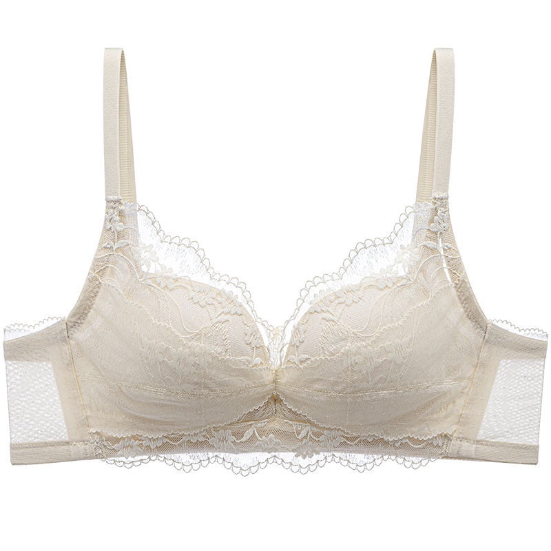 French Lace Underwear for Women Small Breast Size Exaggerating Bra Push ...
