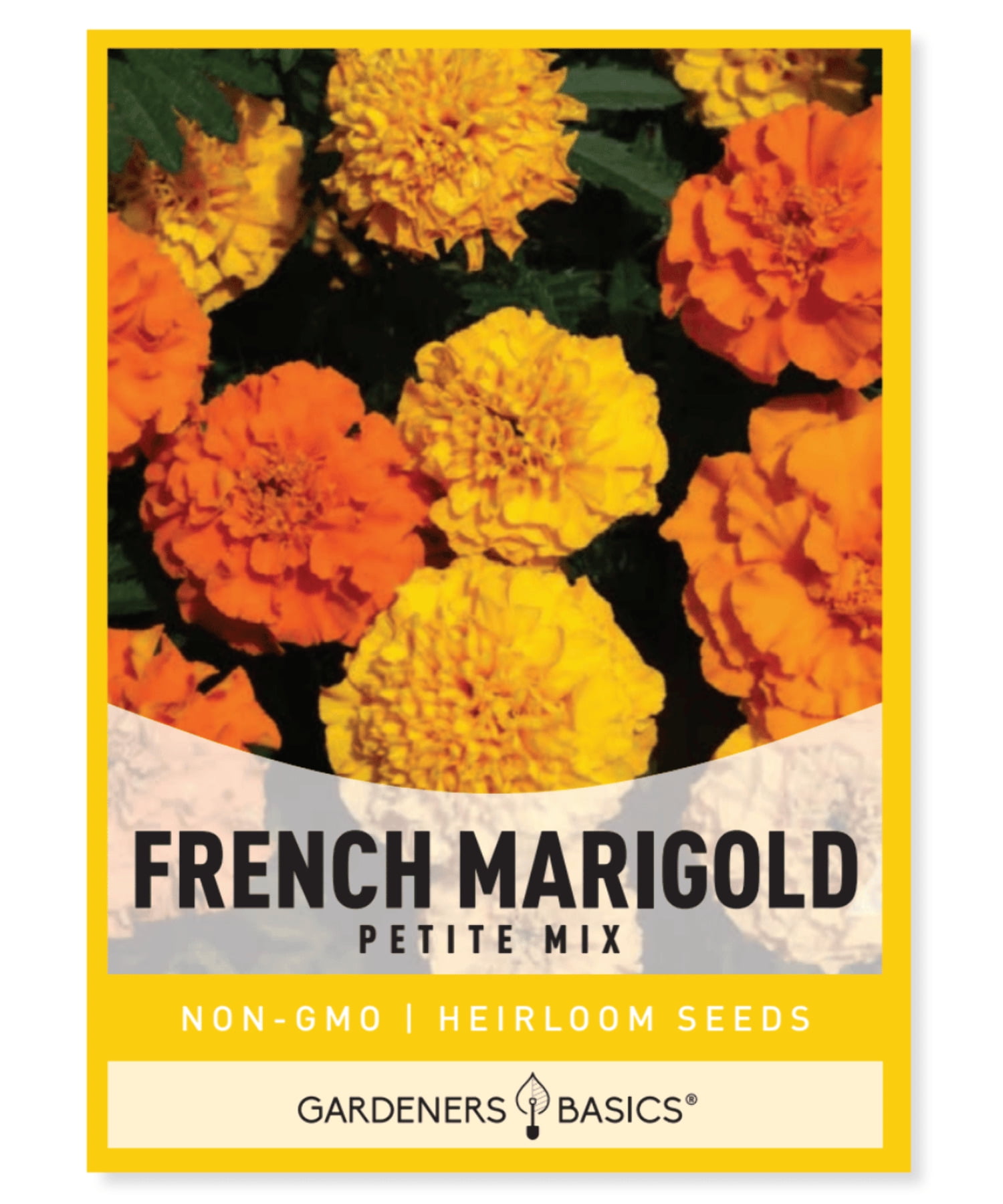 French Marigold Petite Mix Seeds - Walmart.com