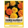 French Marigold Petite Mix Seeds - Walmart.com