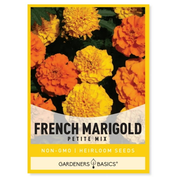 Marigold Flower Seeds in Seed Gardening - Walmart.com