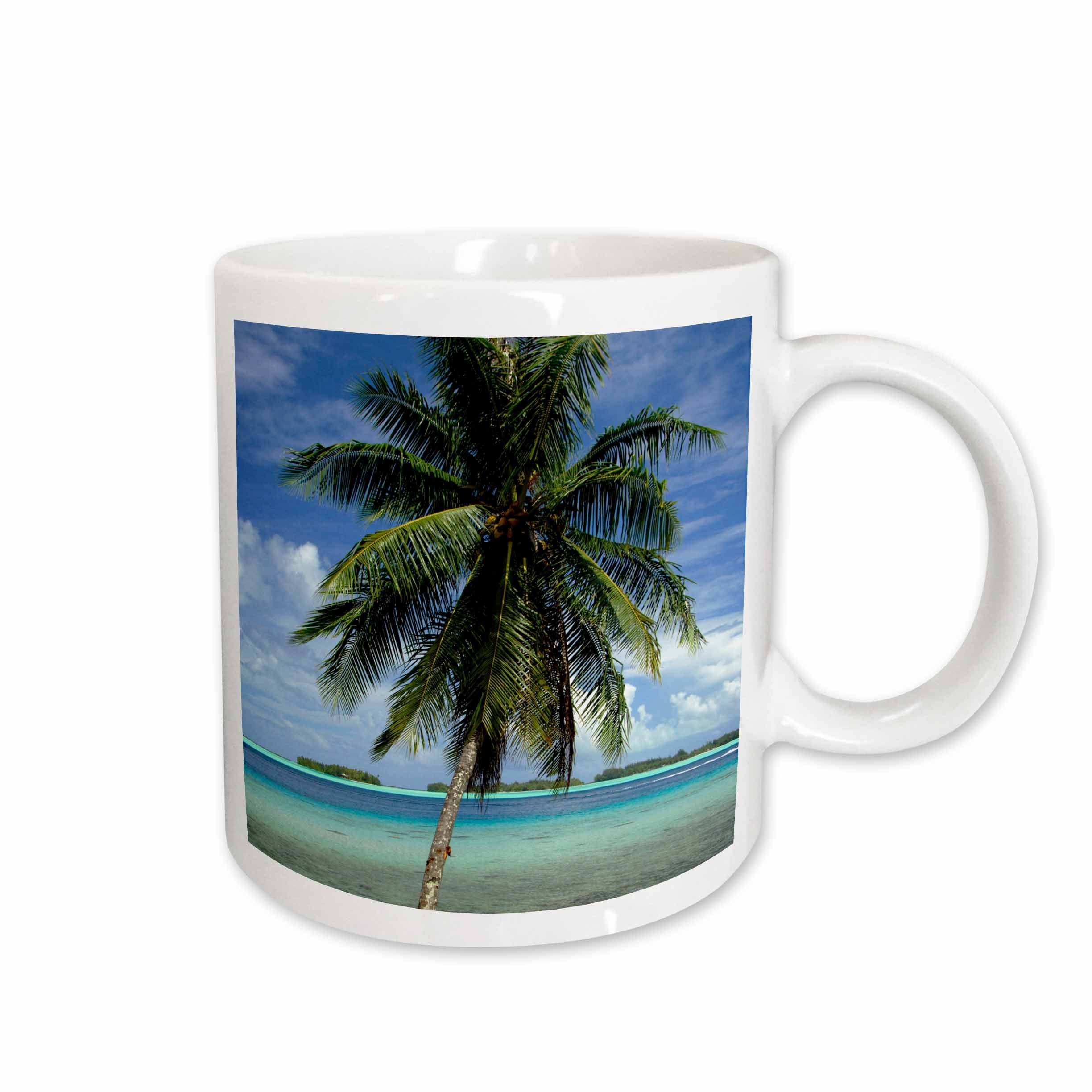 3drose, French Polynesia, Bora Bora, Palm Tree - Oc13 Cmi0246 - Cindy ...