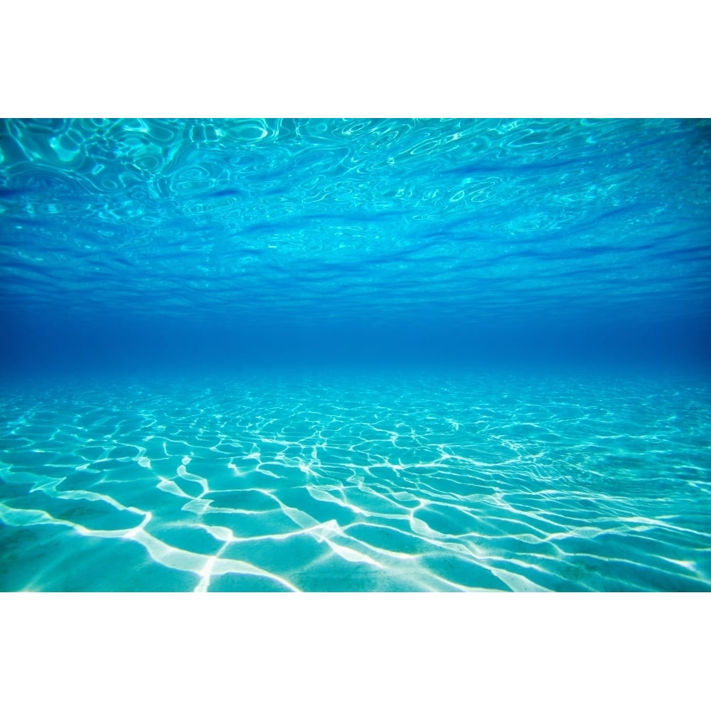 French Polynesia Underwater Sandy Bottom And Surface Reflection. Poster ...