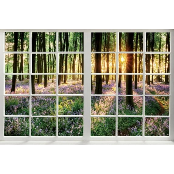 French Window White Room Interior Photography Background Baby Portrait ...