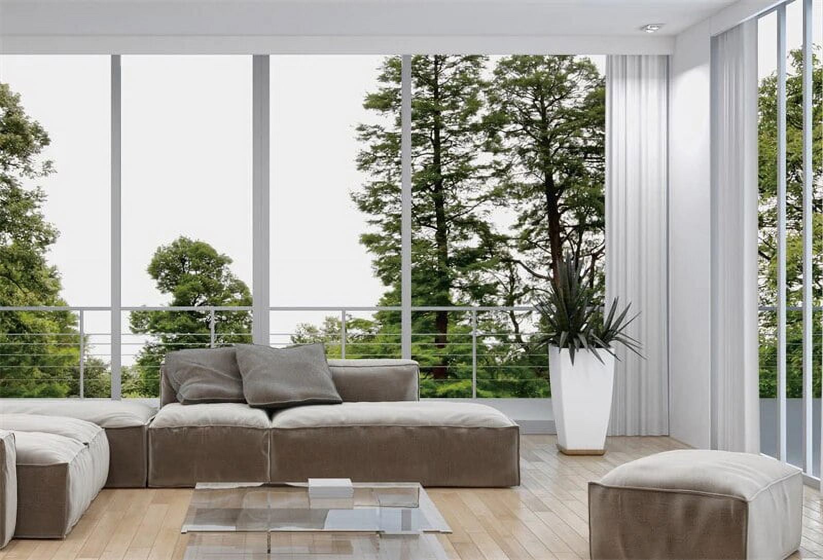 French Window White Room Interior Photography Background Baby Portrait ...