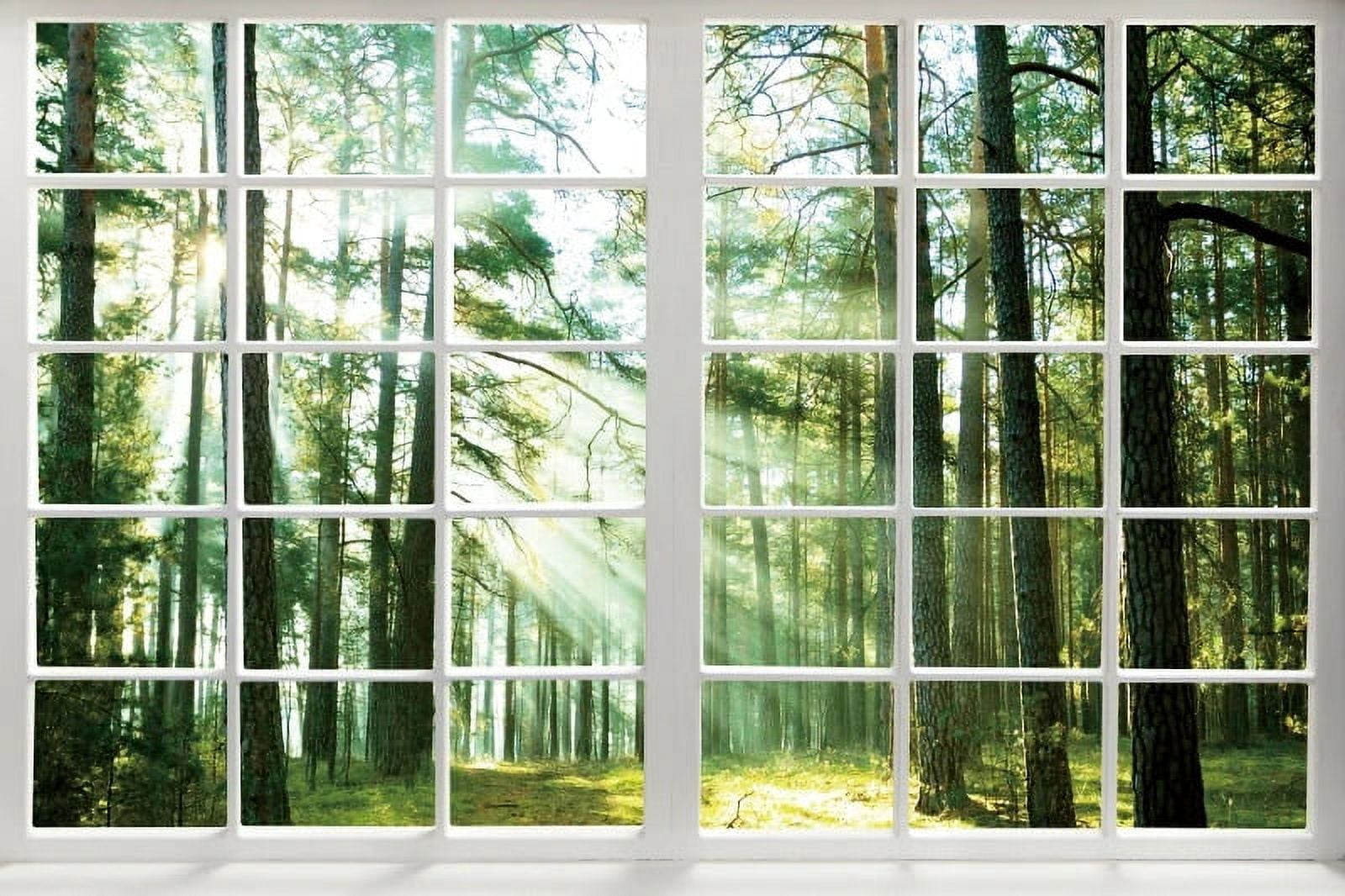 French Window White Room Interior Photography Background Baby Portrait ...