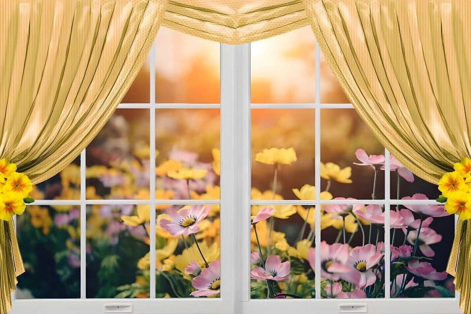 French Window White Room Interior Photography Background Baby Portrait ...