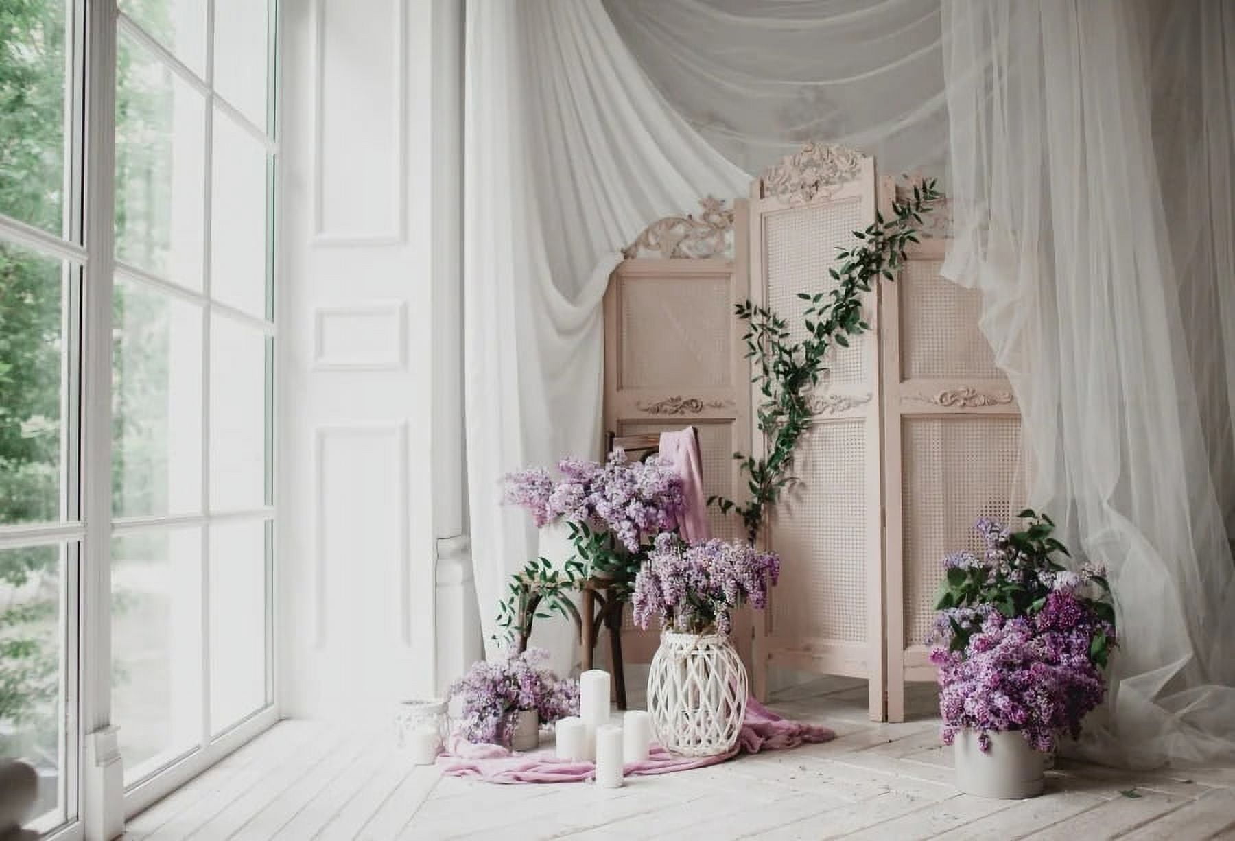 French Window White Room Interior Photography Background Baby Portrait ...