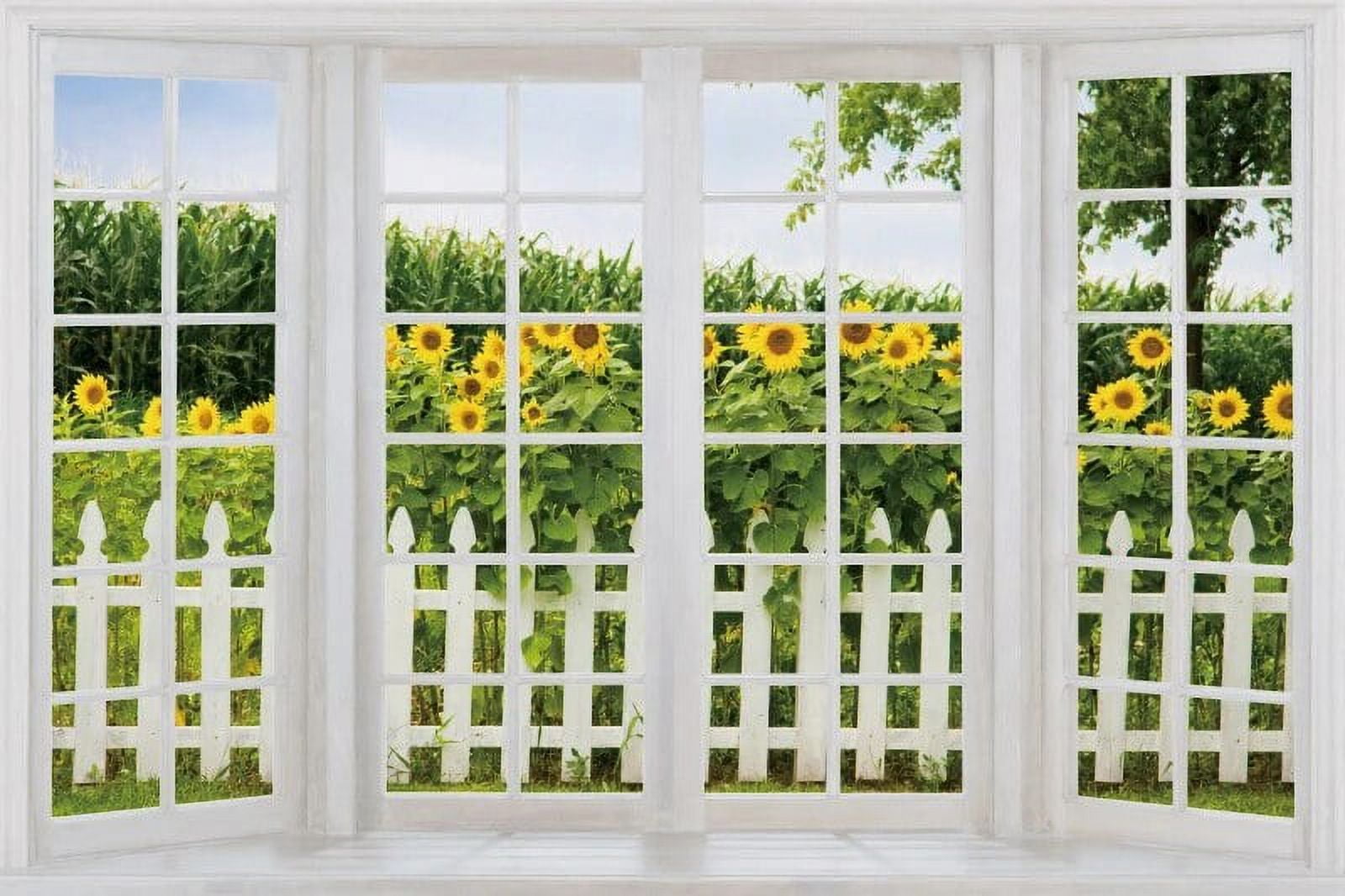French Window White Room Interior Photography Background Baby Portrait ...