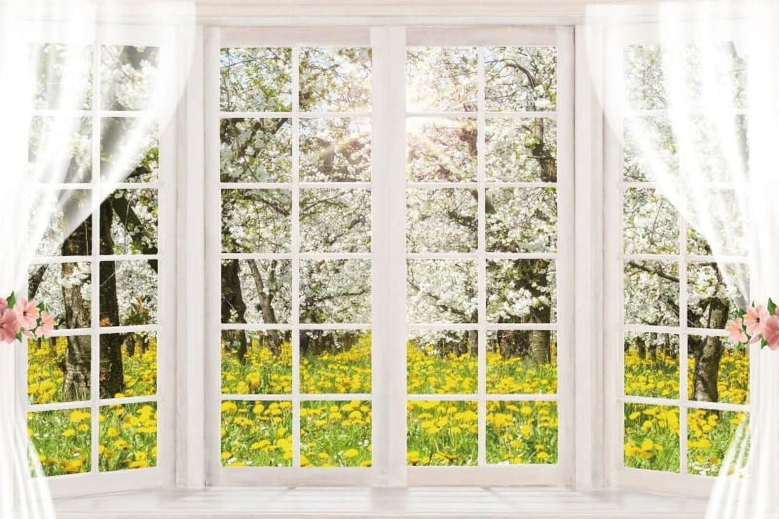 French Window White Room Interior Photography Background Baby Portrait ...