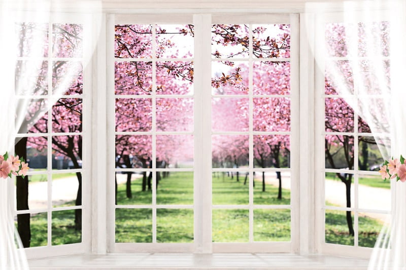 French Window White Room Interior Photography Background Baby Portrait ...