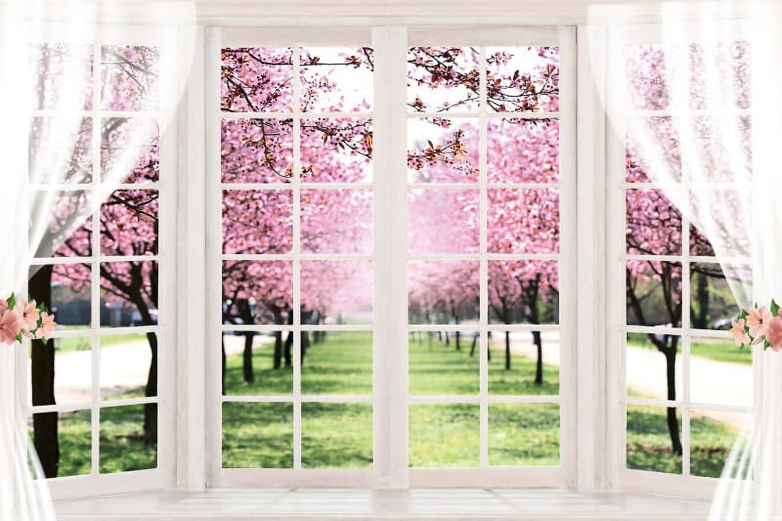 French Window White Room Interior Photography Background Baby Portrait ...