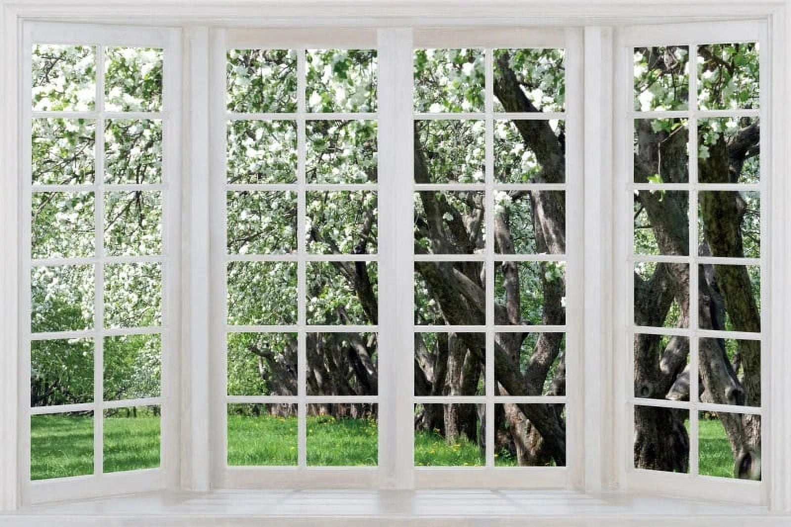French Window White Room Interior Photography Background Baby Portrait ...