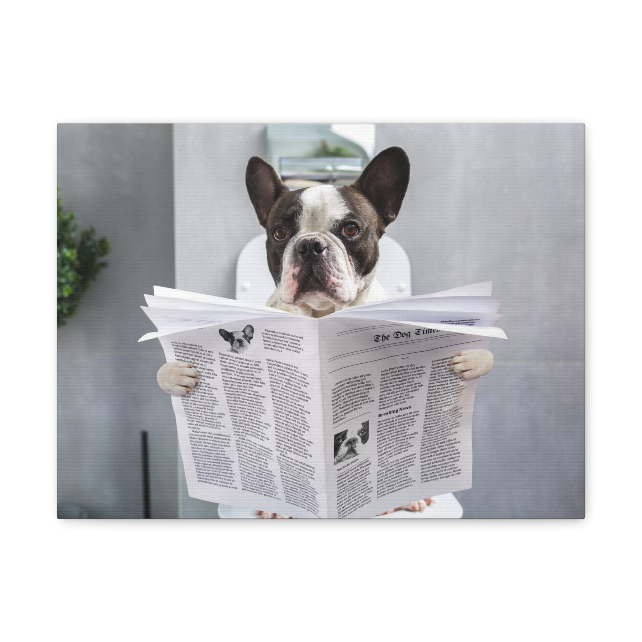French bulldog Reading Newspaper On Toilet Funny Canvas Wall Art for ...