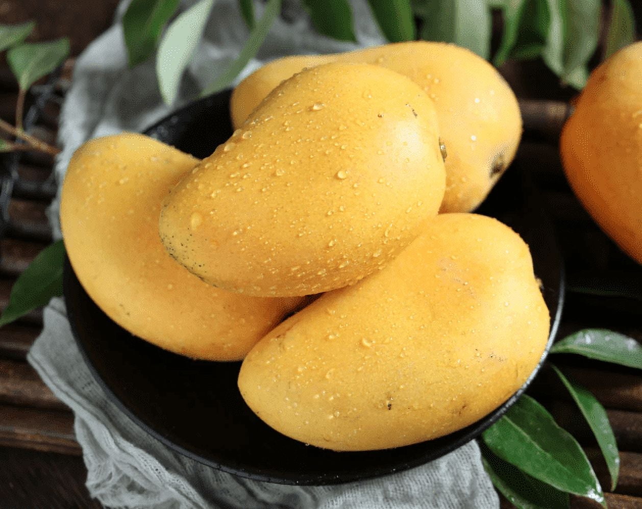 Fresh Banganapalli Mangoes 6 Pcs - Walmart.com