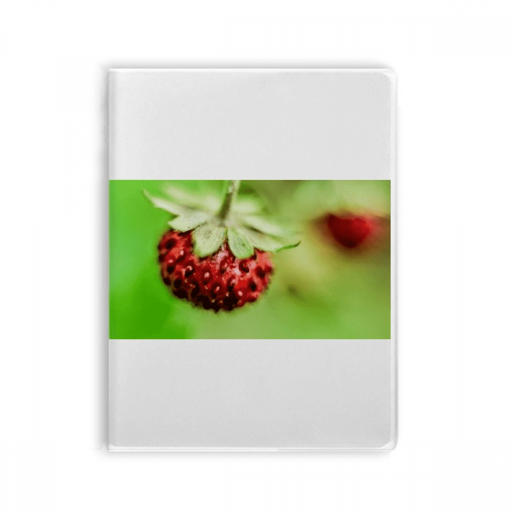Fresh Berry Picture Nature Photograph Notebook Gum Cover Diary Soft ...
