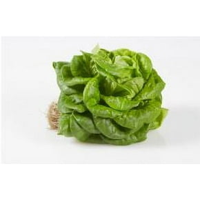 Lettuce in Fresh Produce - Walmart.com