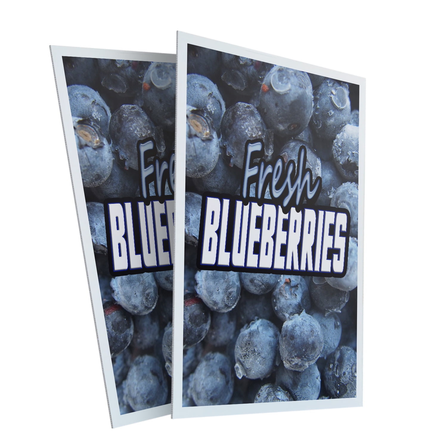 Fresh Blueberries (2-PACK) 24" x 36" Plastic Signs | Sign Insert 4mm ...