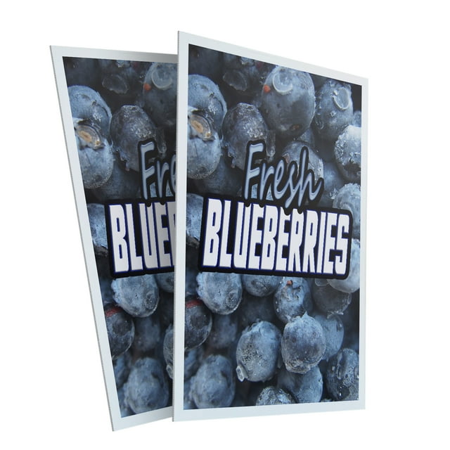 Fresh Blueberries (2-PACK) 24" x 36" Plastic Signs | Sign Insert 4mm ...