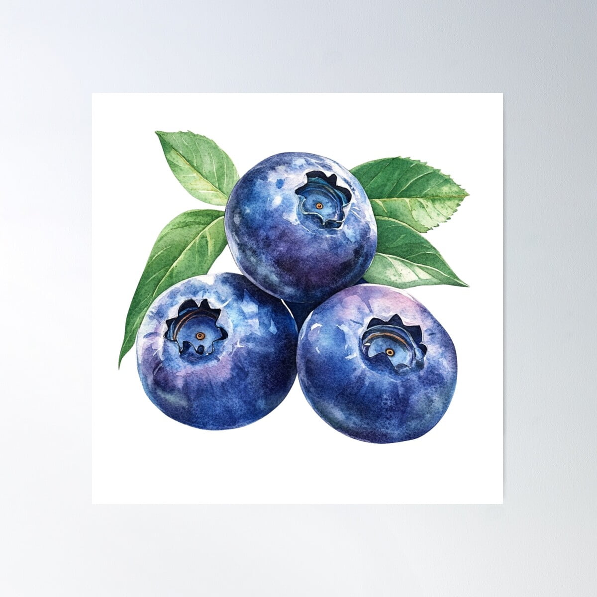 Fresh Blueberries Watercolor Illustration Poster Wall Art, Modern Wall ...