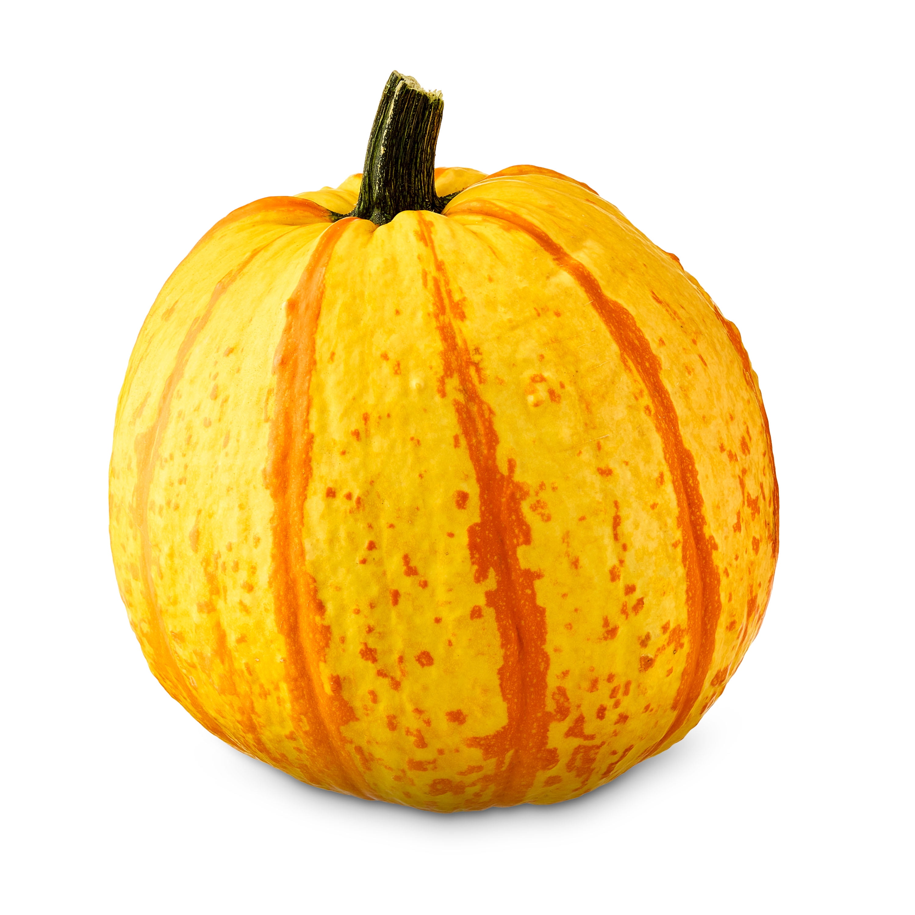 Fresh Candy Corn Pumpkin, Each - Walmart.com