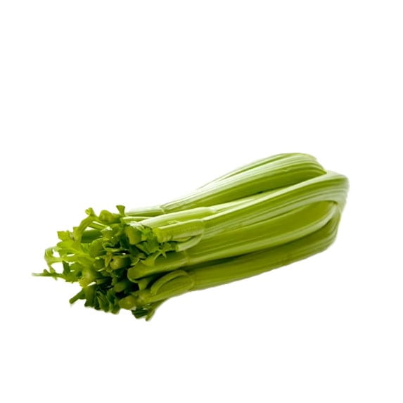 Fresh Produce Fresh Celery Stalk to the inch Sign, Promotes Healthy ...