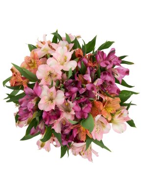 Fresh Flowers in All Flowers - Walmart.com