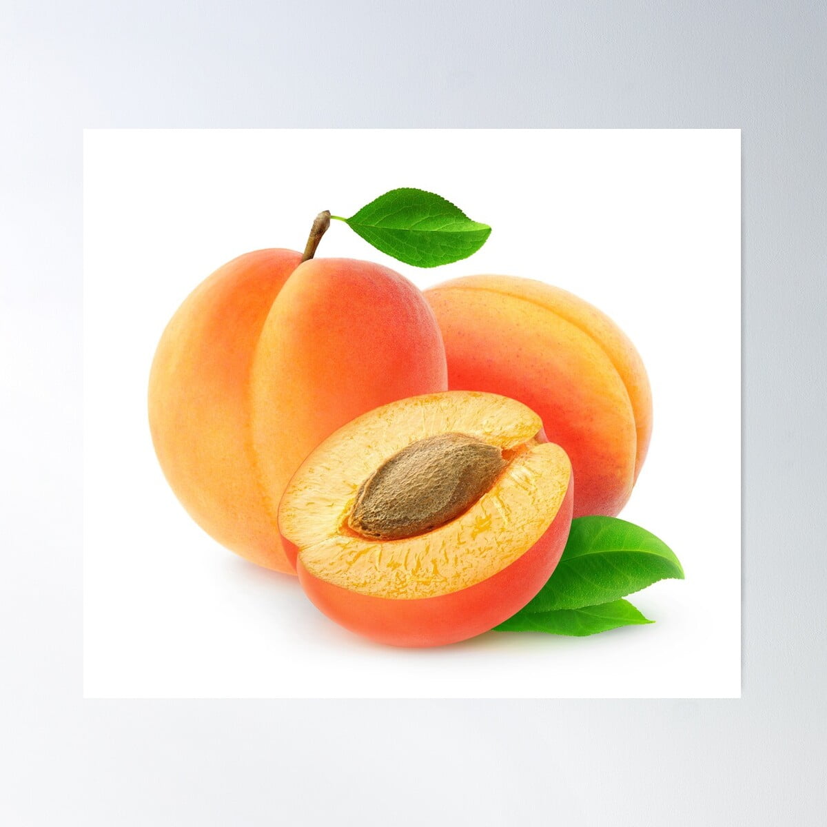 Fresh Cut Apricots Poster Wall Art, Modern Wall Decor For Living Room ...