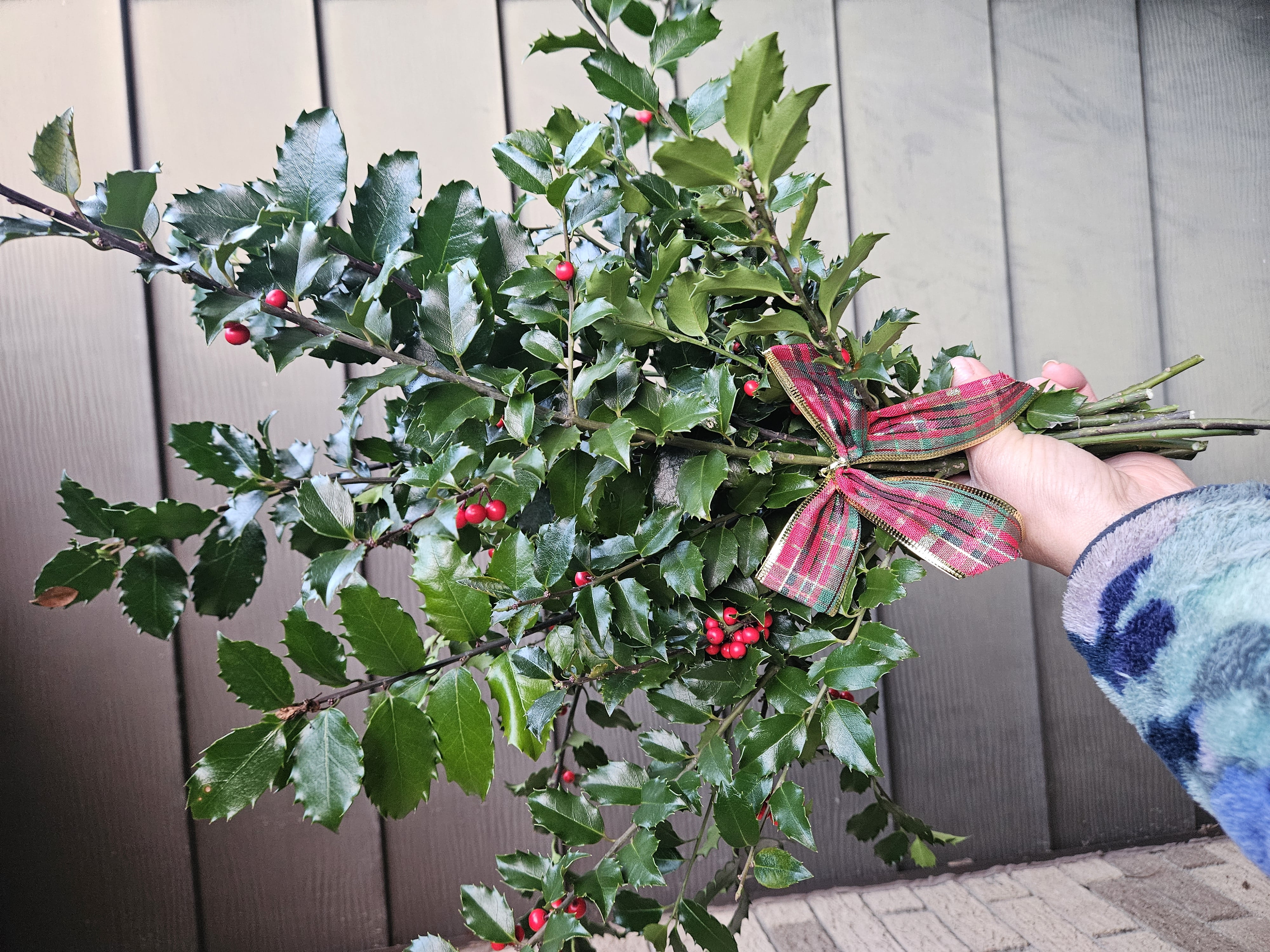 Fresh Cut Holly - Walmart.com