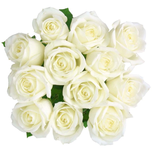 Fresh-Cut Solid Roses Flower Bunch, Minimum of 12 Stems, Colors Vary ...