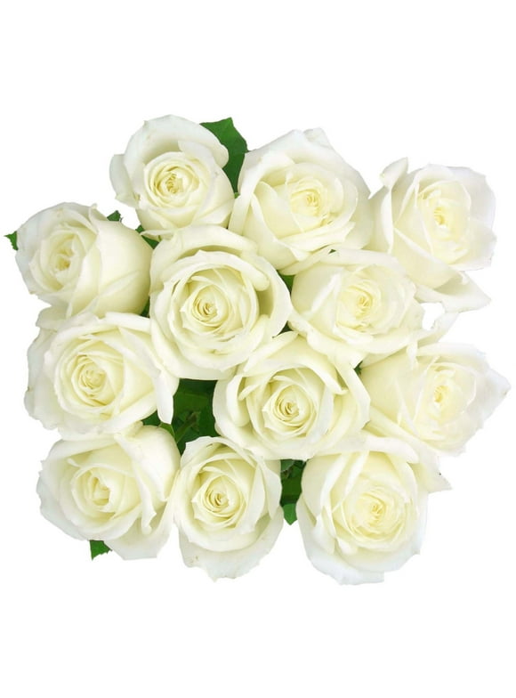 All Flowers in Flower Shop - Walmart.com