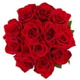 Fresh-Cut Roses, 12 Stems, Assorted Colors for Office Breakroom ...