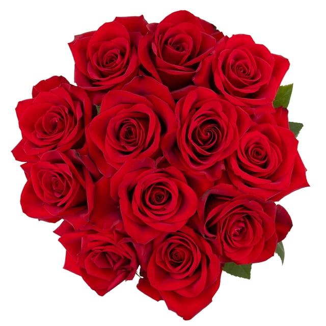 Fresh-Cut Roses, 12 Stems, Assorted Colors for Office Breakroom ...