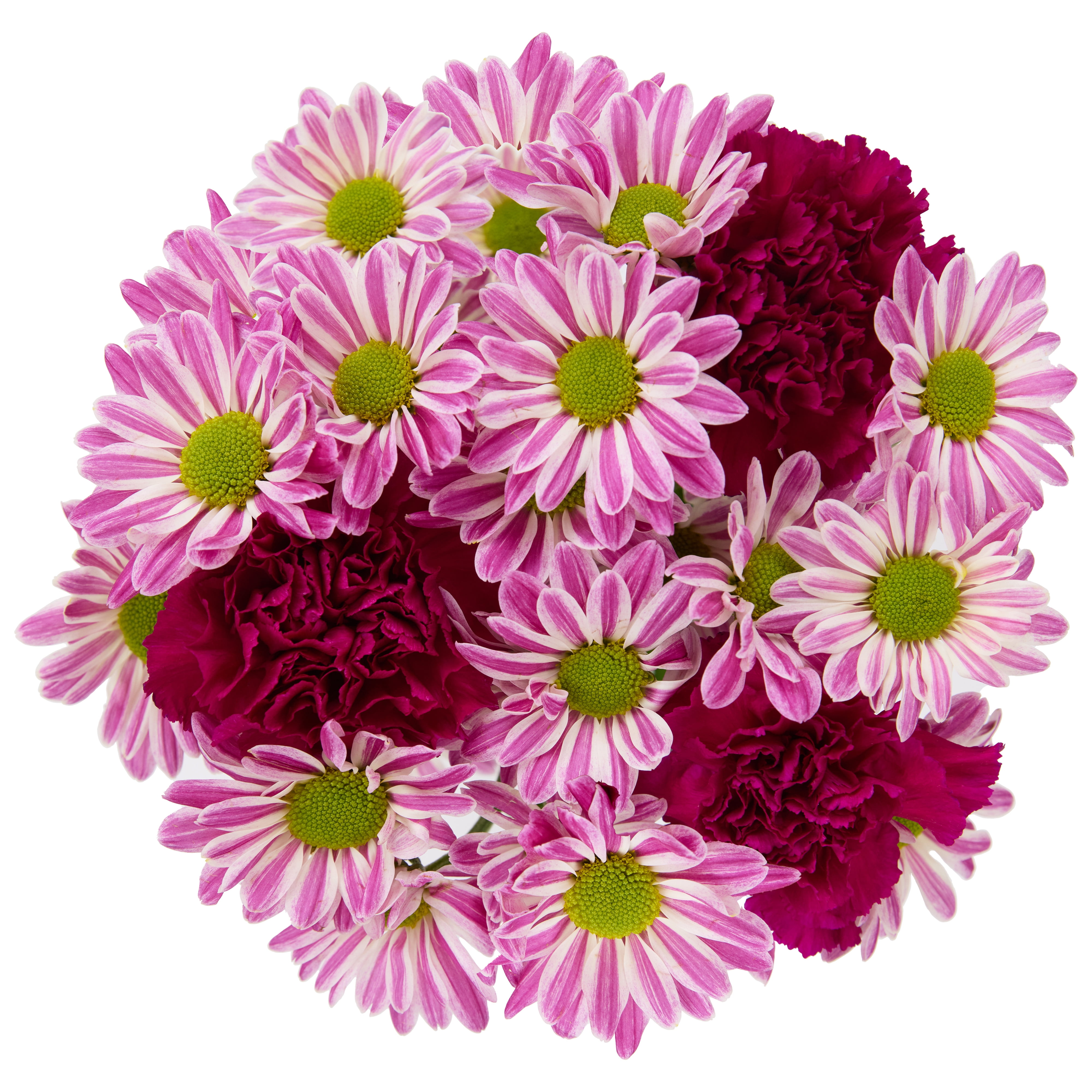 Fresh-Cut Stripy Carnation Flower Bouquet, Minimum 6 Stems, Colors Vary ...