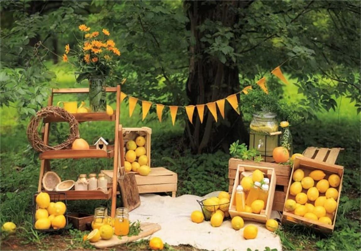 Fresh Farm Photography Backdrop Market Garden Vegetables Fruit Birthday ...