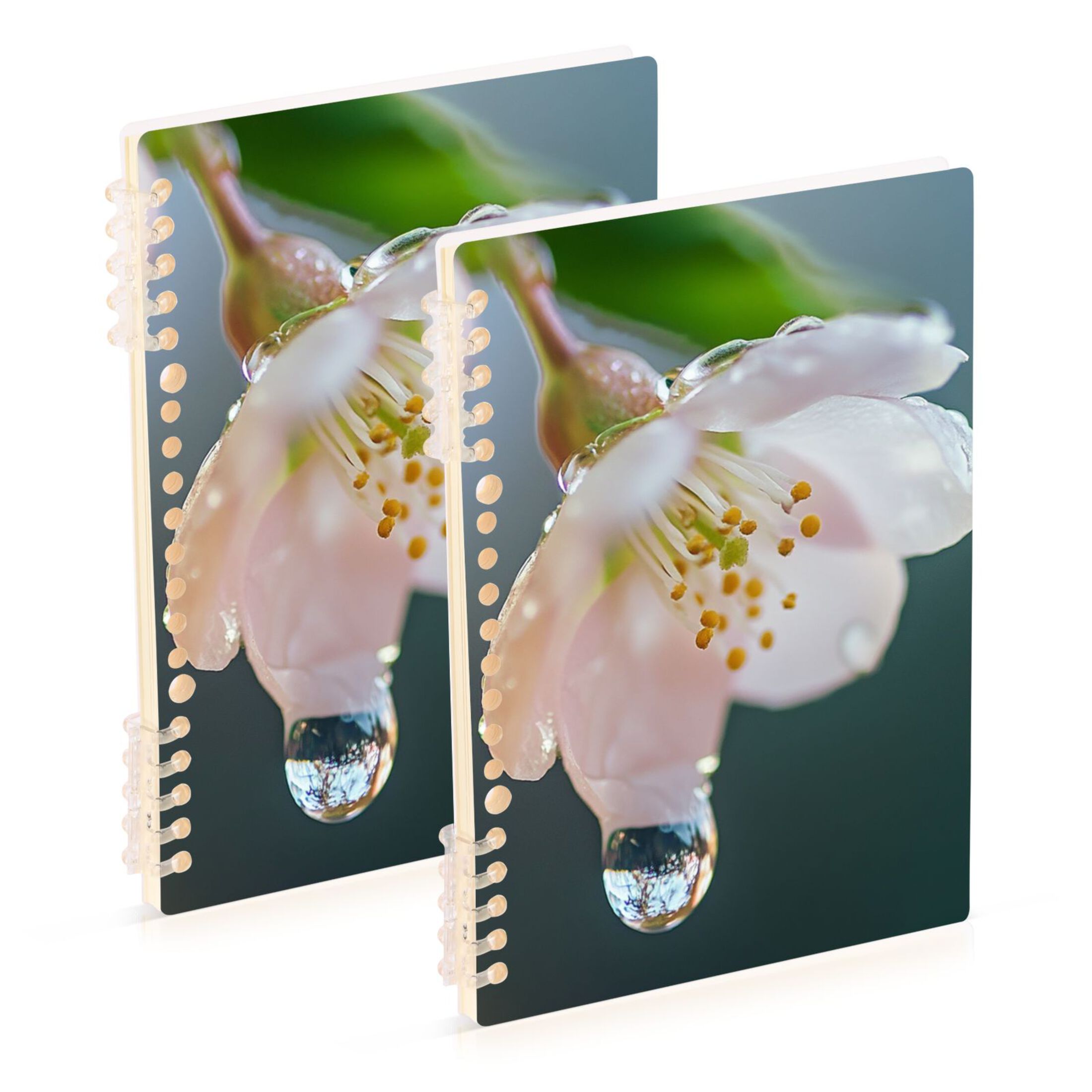Fresh Flower with Dew Notebook Detachable Coil Notebook Diary ...