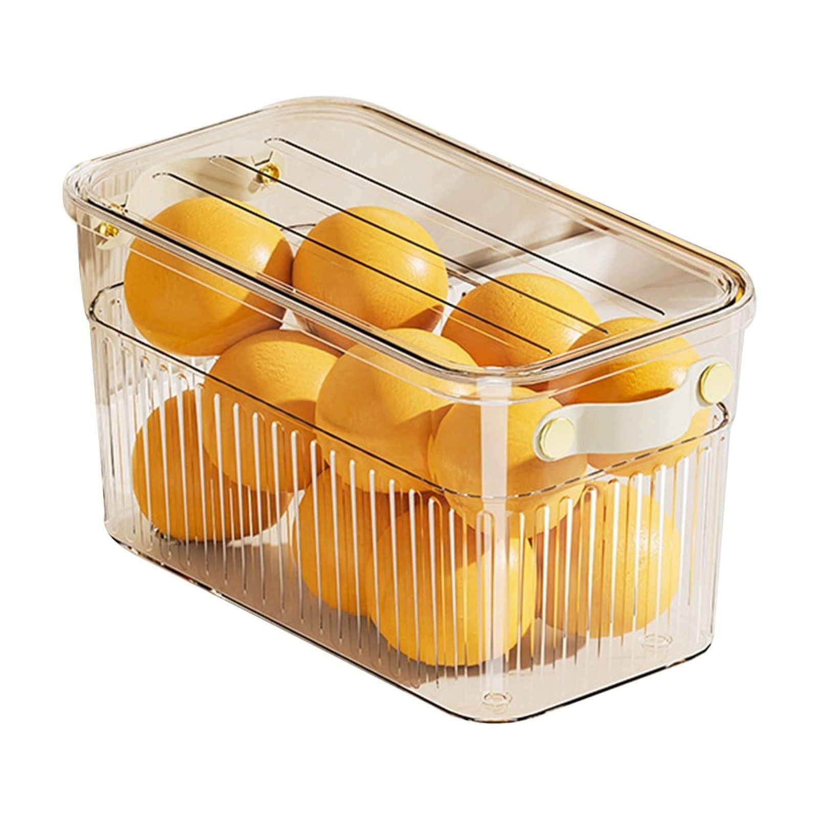 Fresh Food Storage Containers for Refrigerator Feasting on Food Storage ...