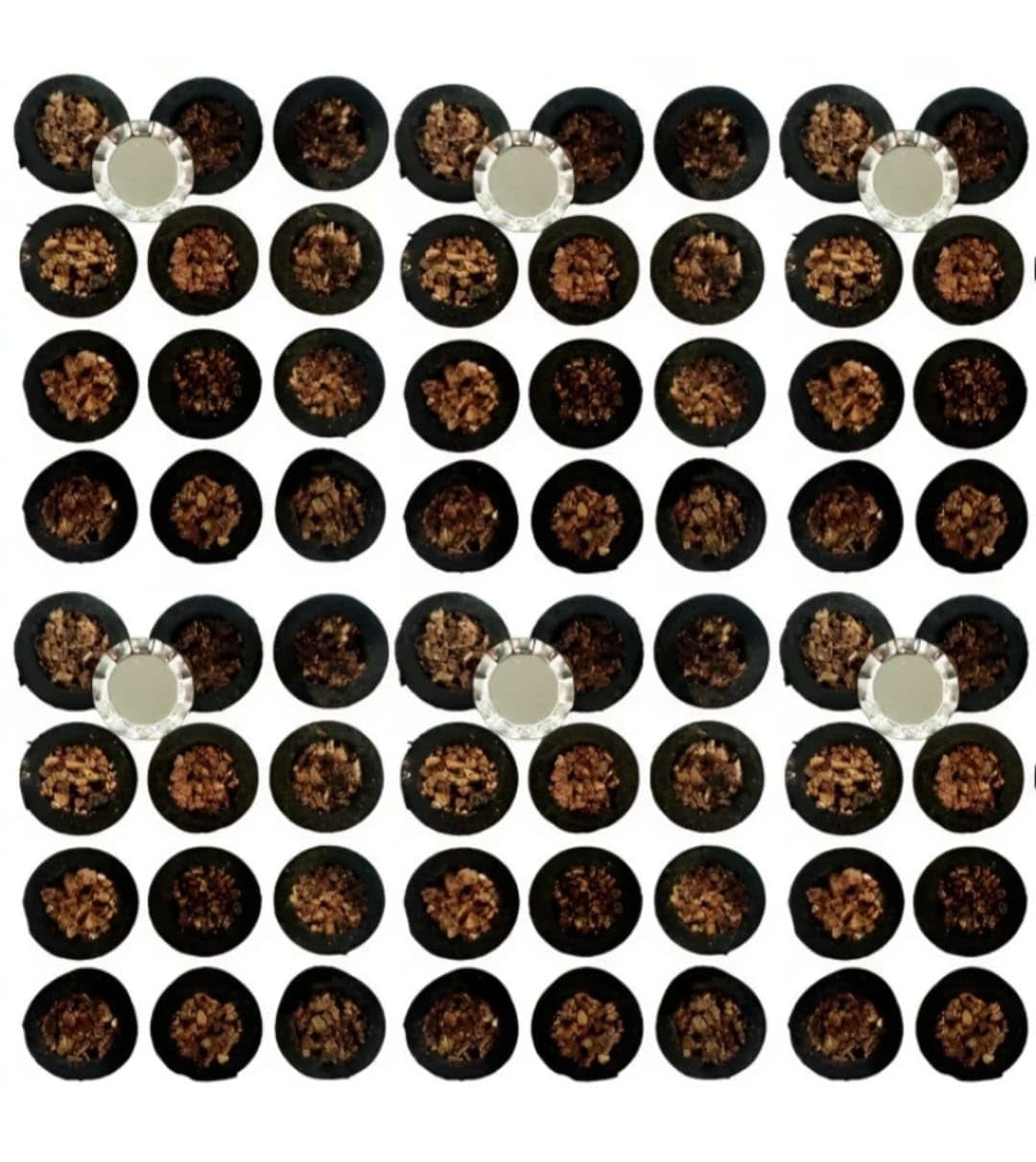 Fresh Fragrance Loban Sambrani Dhoop Cup with Burner Plate Guggul Dhoop ...