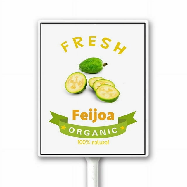 Fresh Fruit Signs Feijoa Organic Fruits Nursery Garden Label Sign With ...