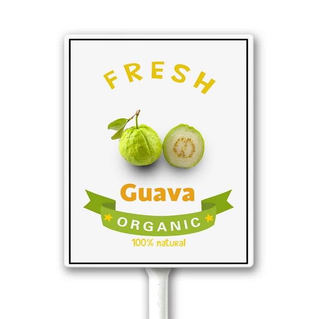 Fresh Fruit Signs Guava Organic Fruits Nursery Garden Label Sign With ...