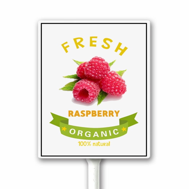 Fresh Fruit Signs Raspberry Organic Fruits Nursery Garden Label Sign ...