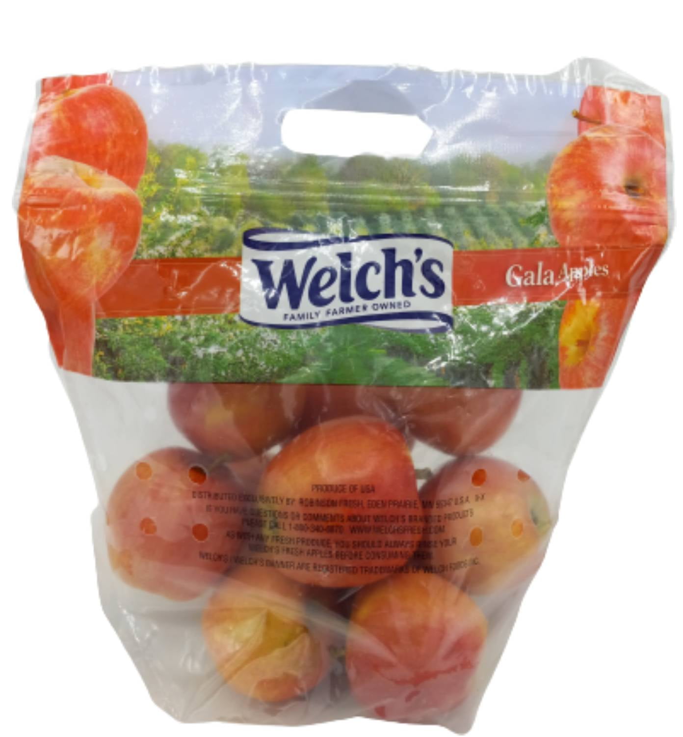 Gala Apple