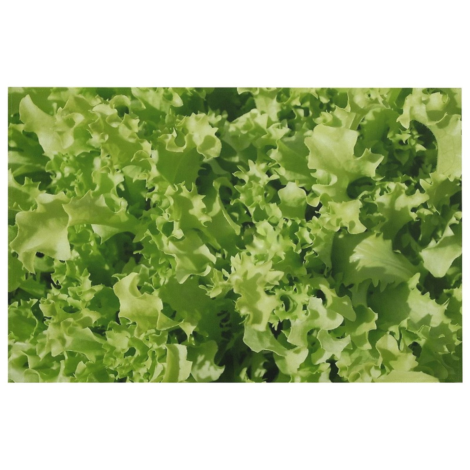 Fresh Green Lettuce Leaves Adult Home Decor Bedroom Living Room Crystal ...