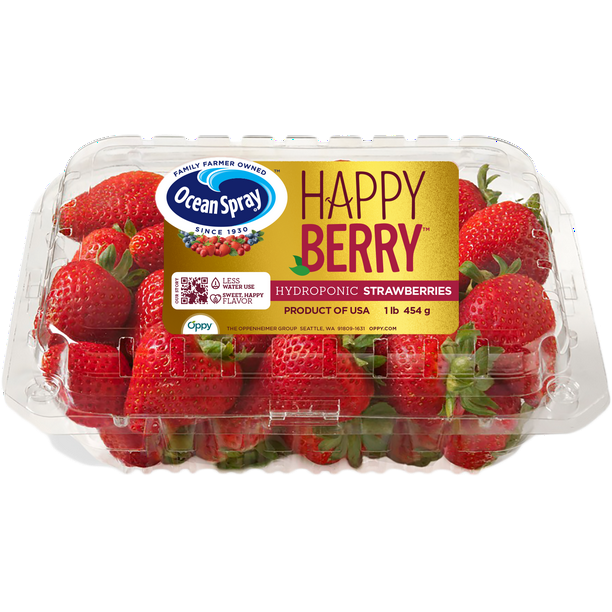 Fresh Ocean Spray Hydroponic Strawberries, 1 lb Container - Walmart ...