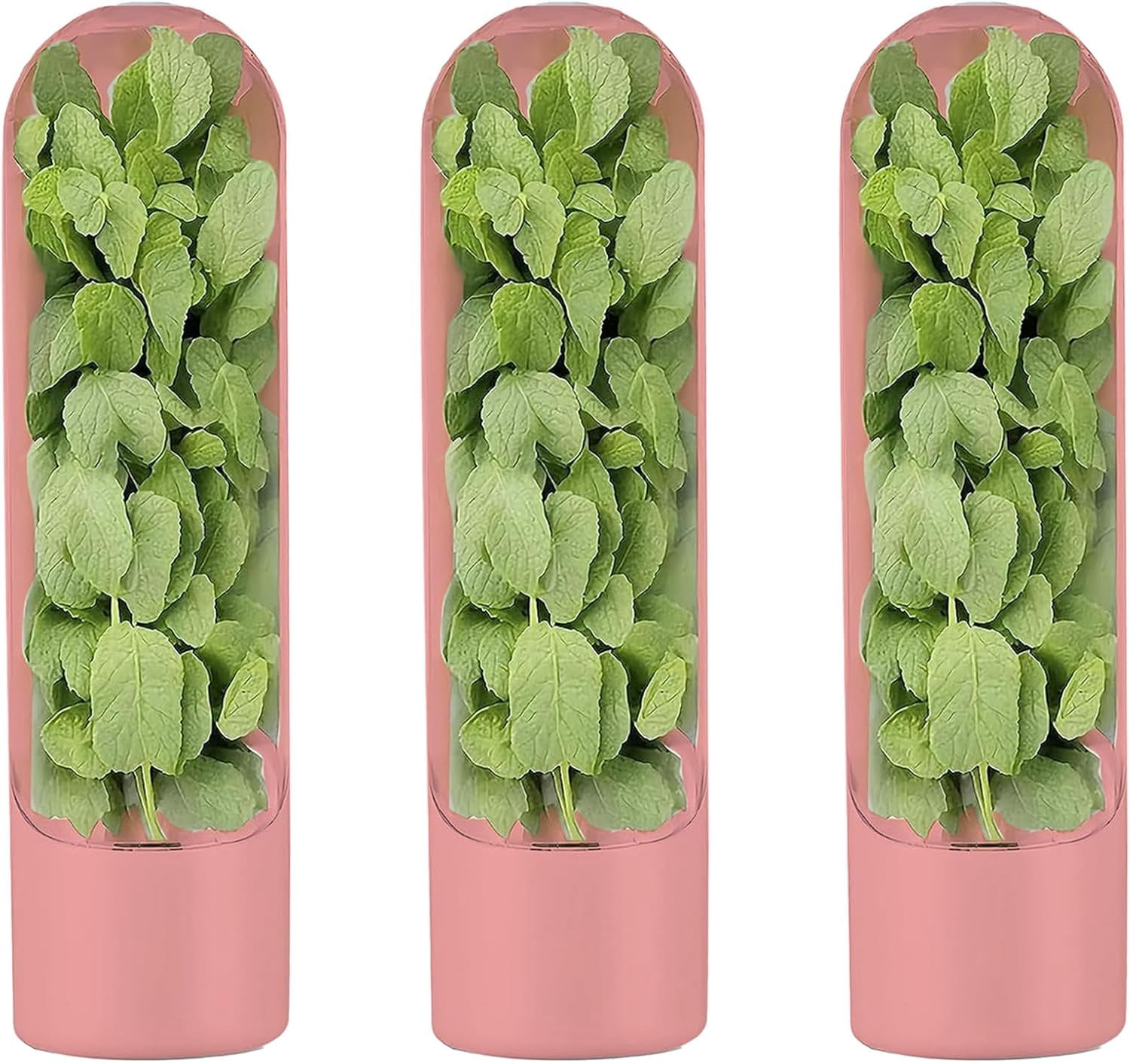 Fresh Herb Keeper for Refrigerator, Herb Keeper For Refrigerator ...