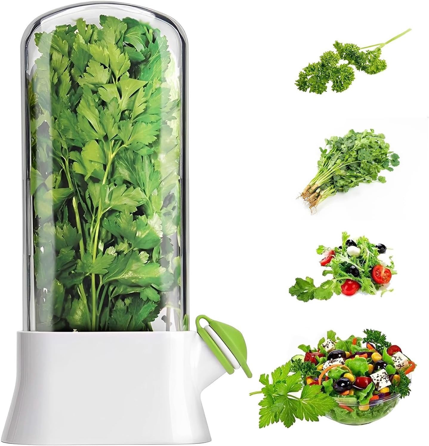 Fresh Herb Keeper for Refrigerator, Quanmin Herb Keeper for ...