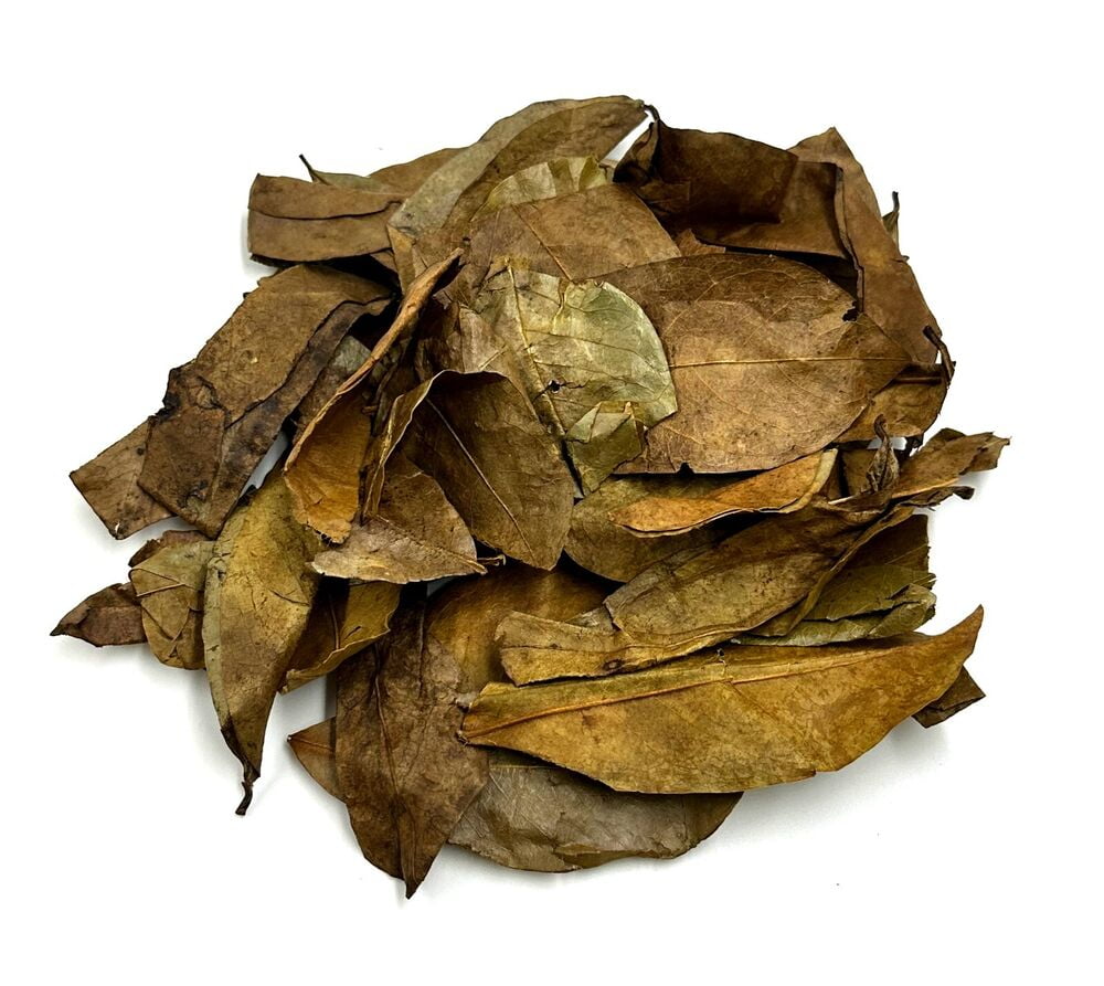 Fresh Herbs/Spice Seasoning-Dried Soursop Leaves - Natural Graviola ...