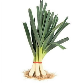 Onions & Leeks in Fresh Vegetables - Walmart.com