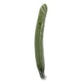Fresh Produce Organic Long English Cucumber Fresh, Crisp, Low-Calorie ...