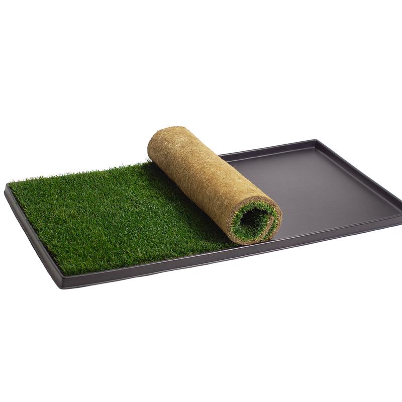 Fresh Patch Real Grass Patch for Dogs, Cats, and Rabbits | Great for ...