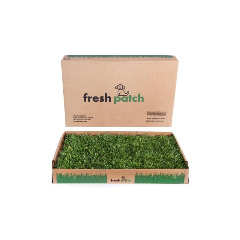 Fresh Patch Real Grass Patch for Dogs, Cats, and Rabbits | Great for ...